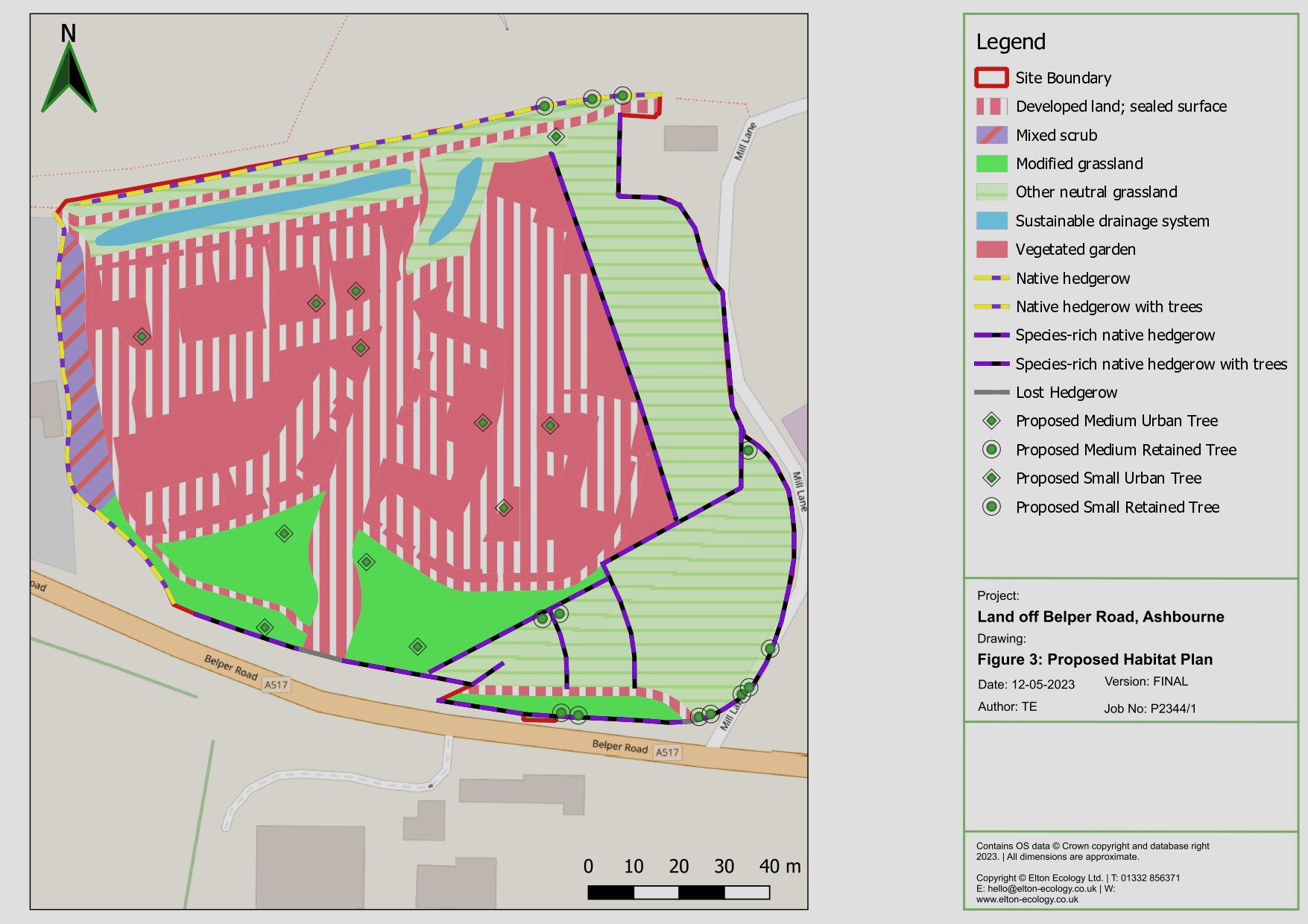 Case Study: Achieving 10% BNG On Site | Elton Ecology